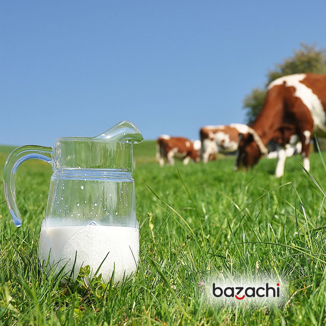 Fresh & Quality Groceries Delivered Fast | Bazachi.com – bazachi
